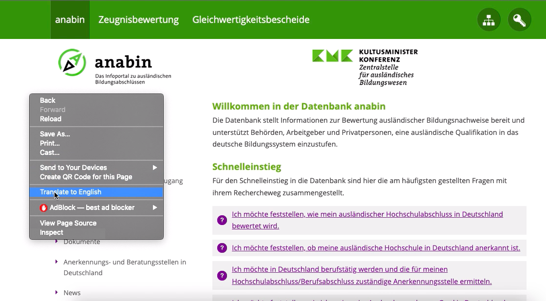 Anabin #3 - Printout Degree